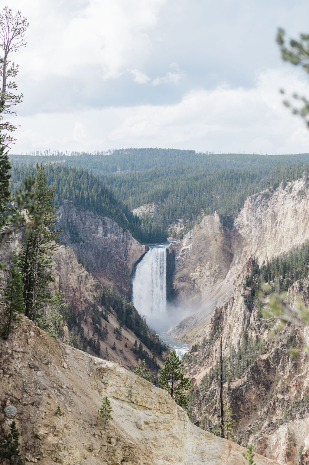 Jackson Hole to Yellowstone Tour: Everything You Need to Know
